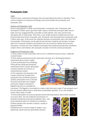 BIOL112 Practical 1 final - BIOL 112 Cell Biology – Practical Cell and ...