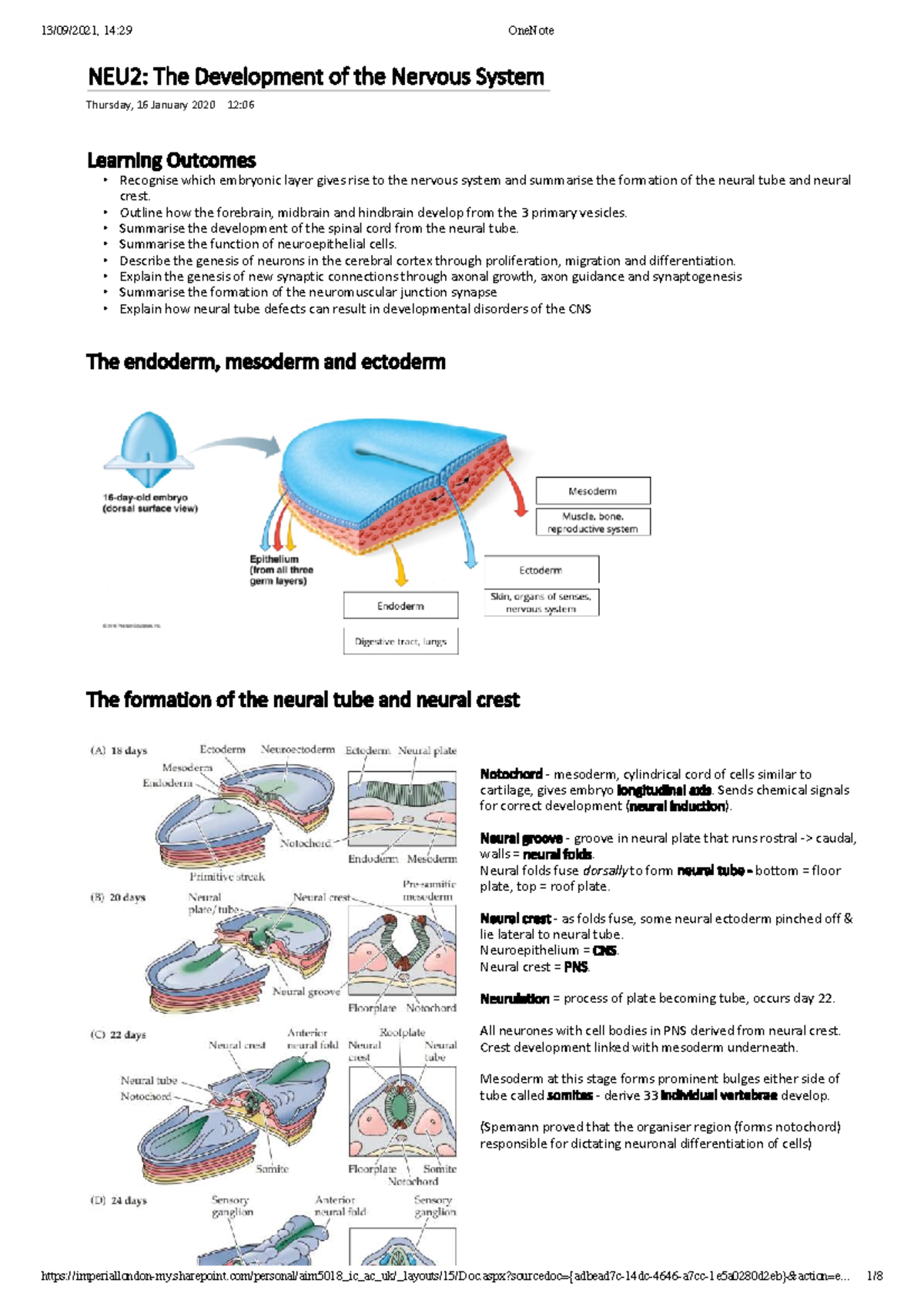 Neuroscience & Neurobiology 2 - NEU2: The Development of the Nervous ...