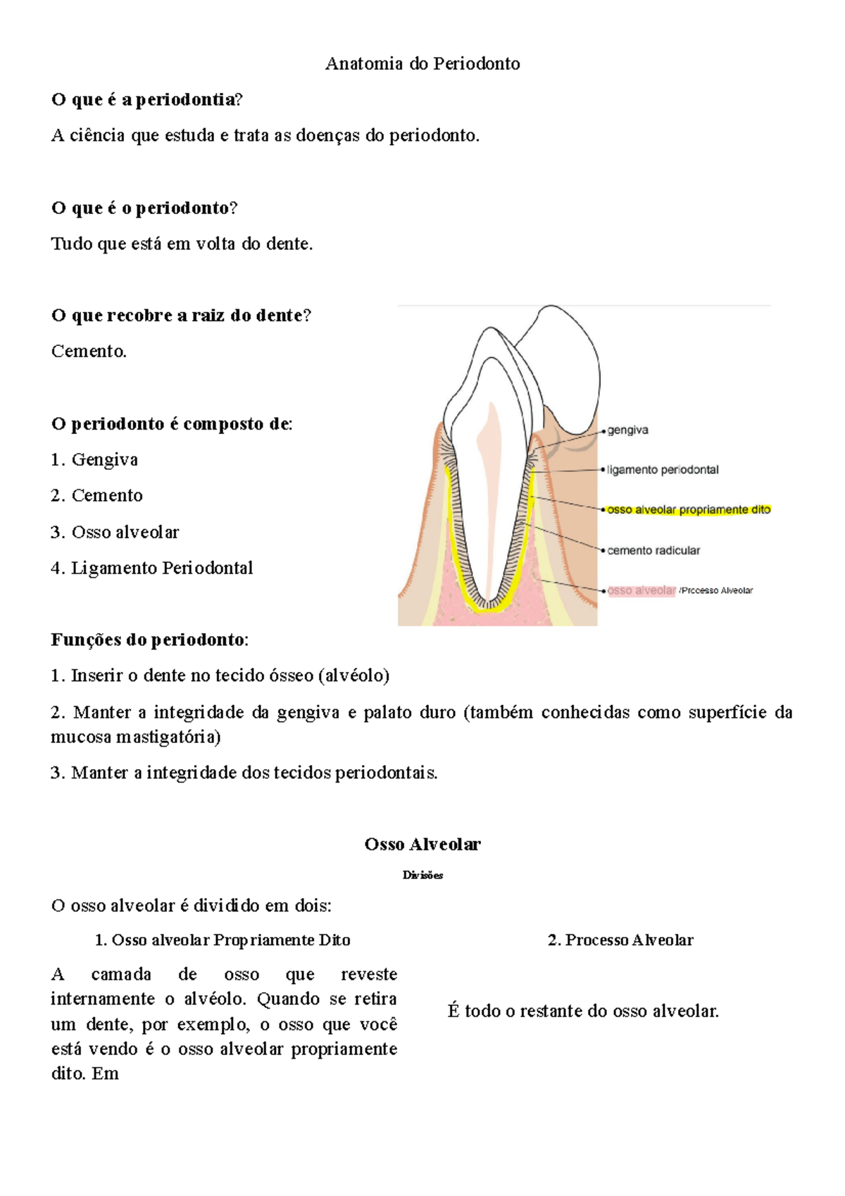 1 - Anatomia do Periodonto - Anatomia do Periodonto O que é a ...