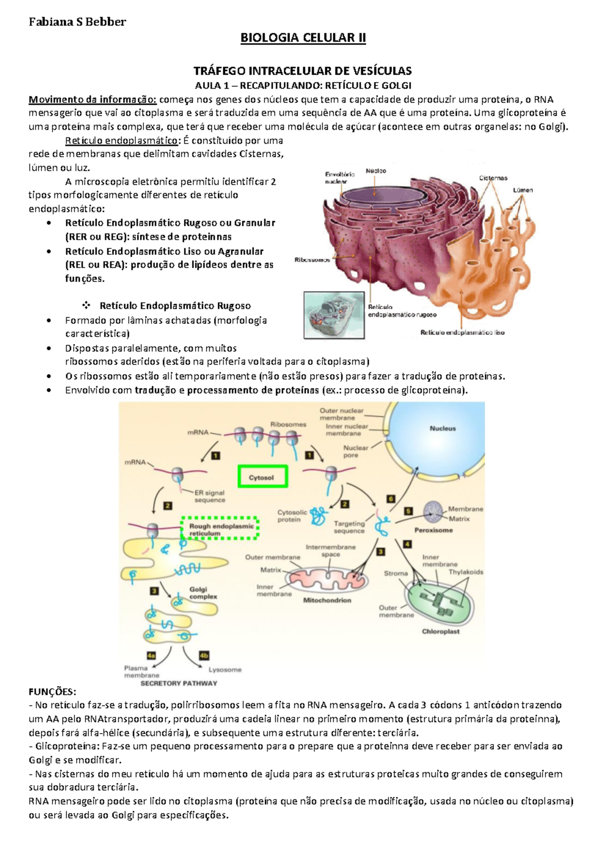 Biologia Celular Ii Fabi Warning Tt Undefined Function 22 Warning Tt Undefined Function