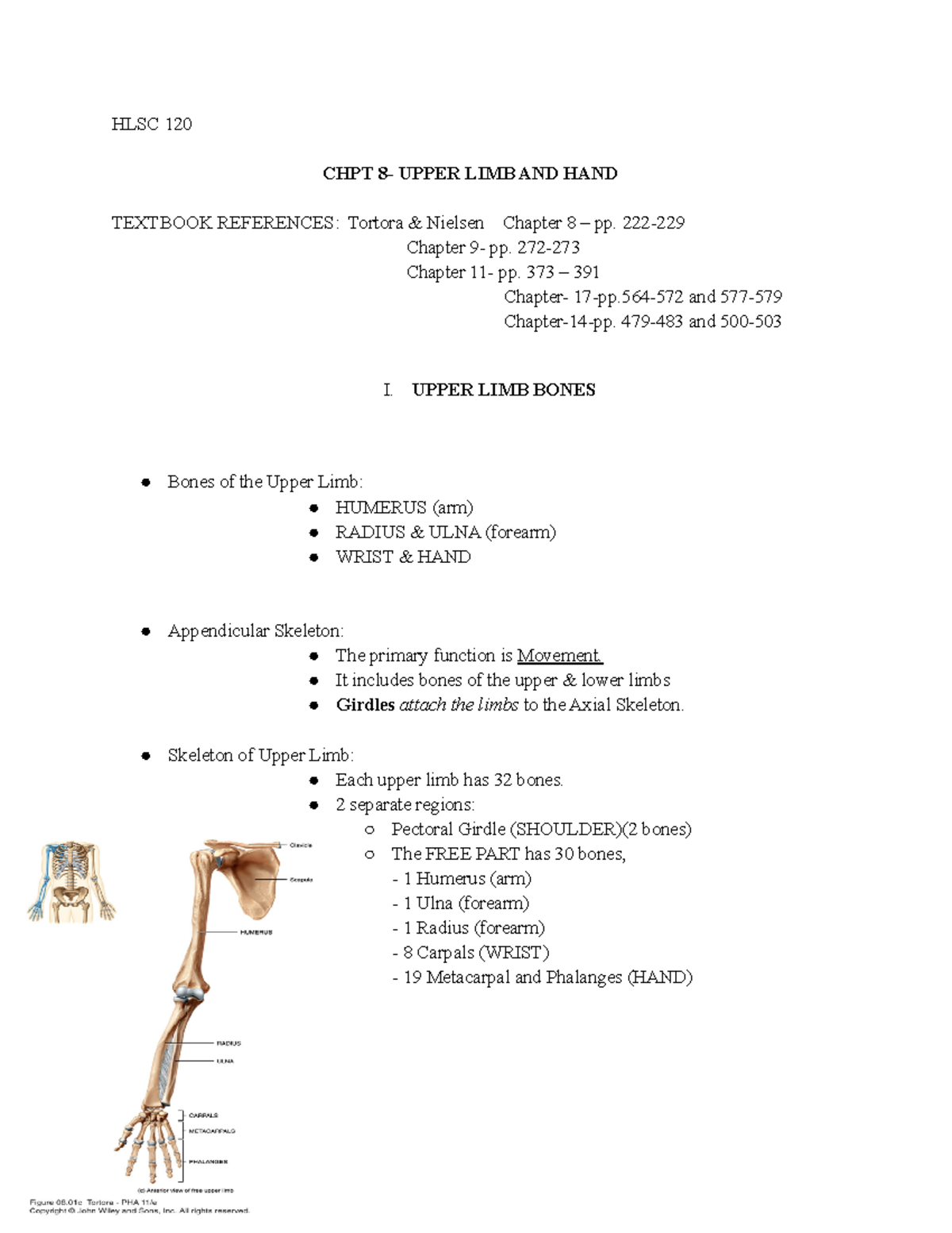 Pdf CHPT 8 (11, 17, 14)- Upper Limb & Hand - HLSC 120 CHPT 8- UPPER ...