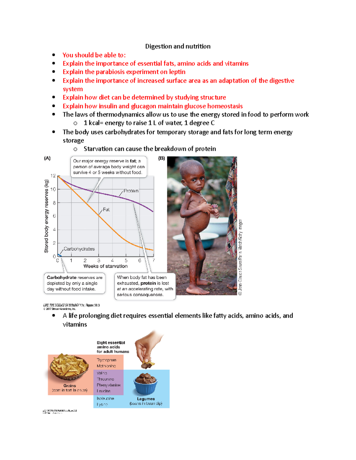Digestion and nutrition - Studocu