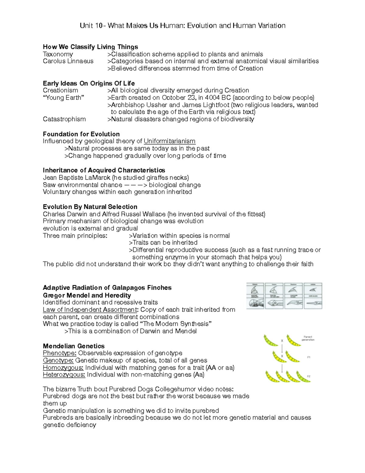 Unit 10- Evolution - Lecture notes 10 - Unit What Makes Us Human ...