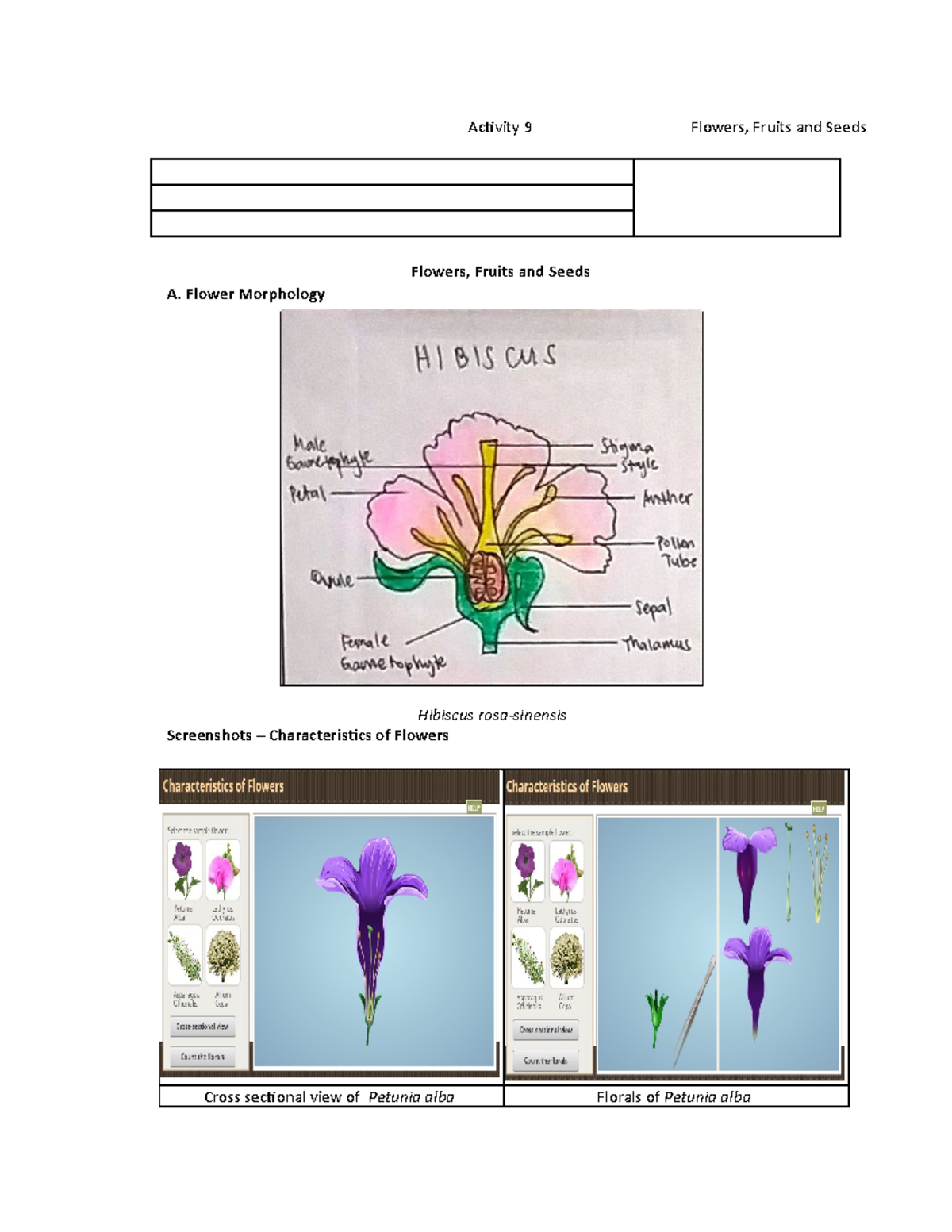 4W4c95O6j BJp - Lecture Notes - Flowers, Fruits and Seeds A. Flower ...