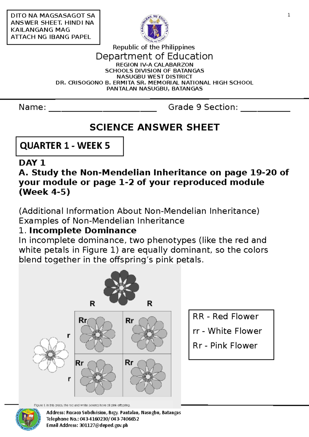 WEEK 5 and 6 - Activity sheets and answer sheets - Name ...