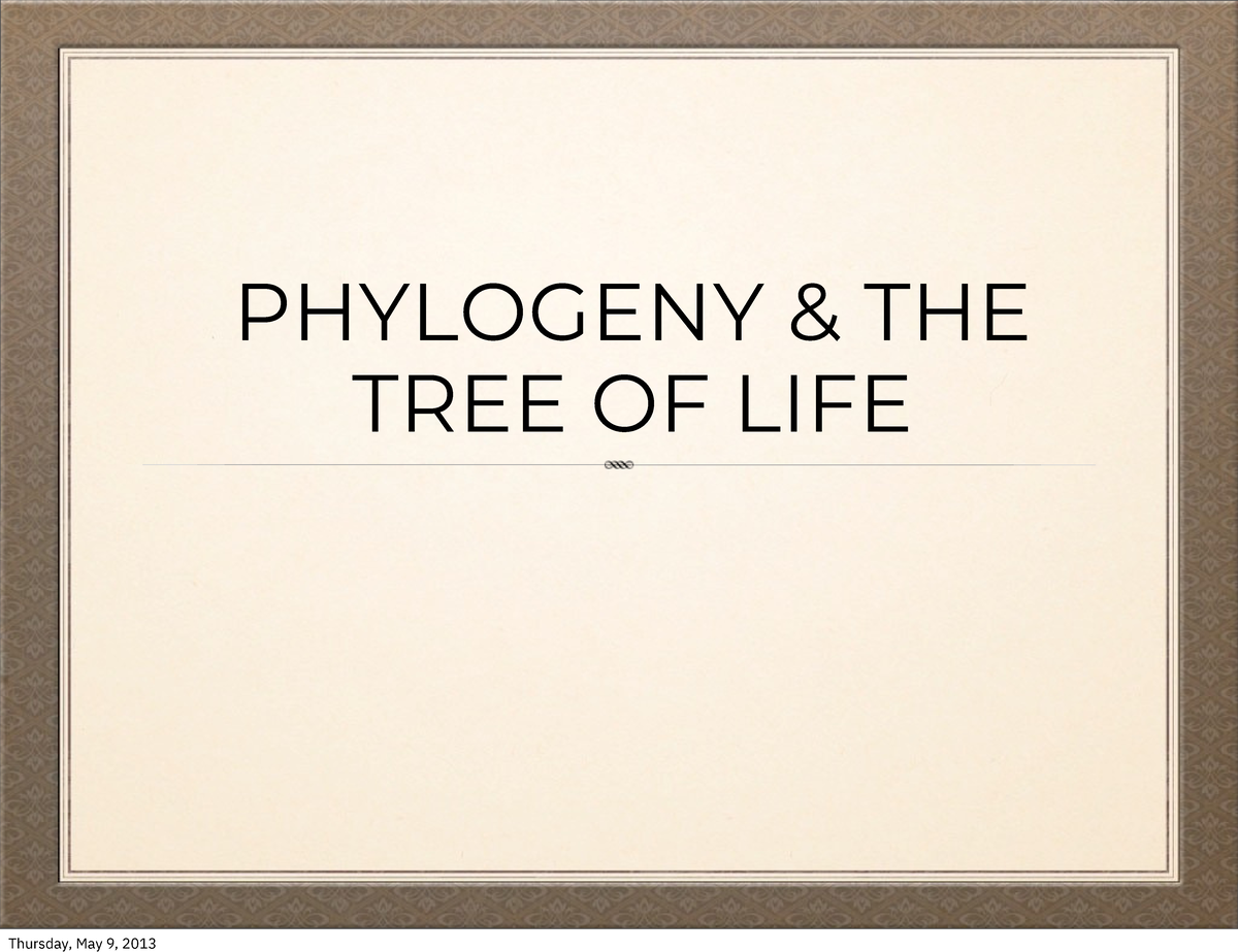 Phylogeny the tree of life - PHYLOGENY & THE TREE OF LIFE PREFACE In this powerpoint we learn ...