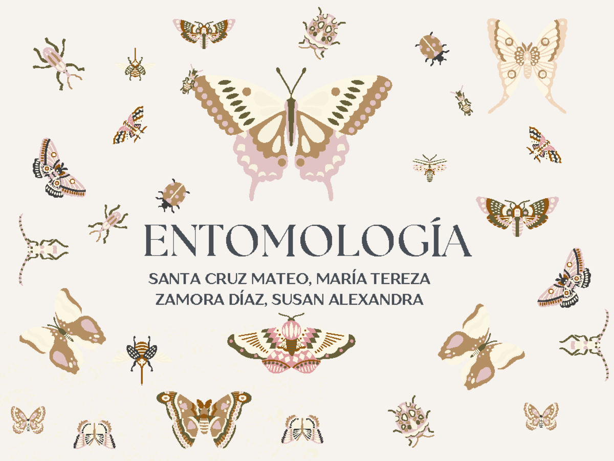 Entomologia Tarea 1 - aaaaaaaaaaaaaaaaaaaaaaaaaaaaaaaaaaaaaaaaaaaaaaaaa - ENTOMOLOGÍA SANTA CRUZ ...