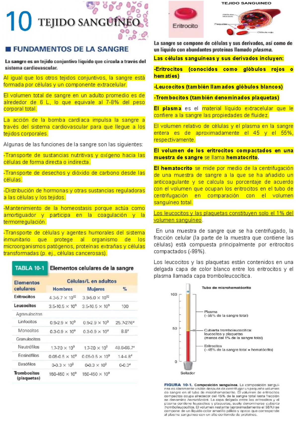 Tejido Sanguineo - sanguine - Al igual que los otros tejidos ...