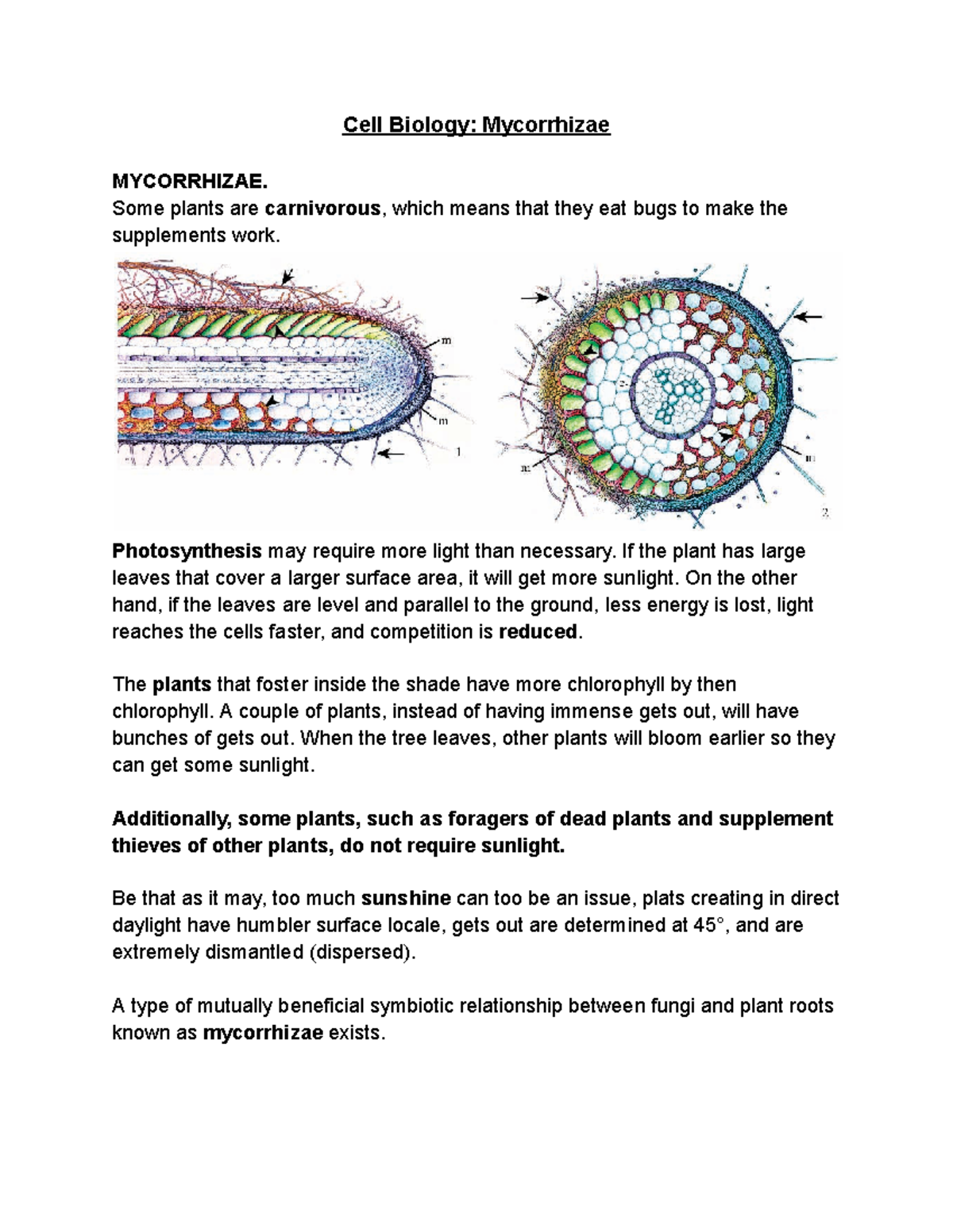 Cell Biology Mycorrhizae - Cell Biology: Mycorrhizae MYCORRHIZAE. Some ...