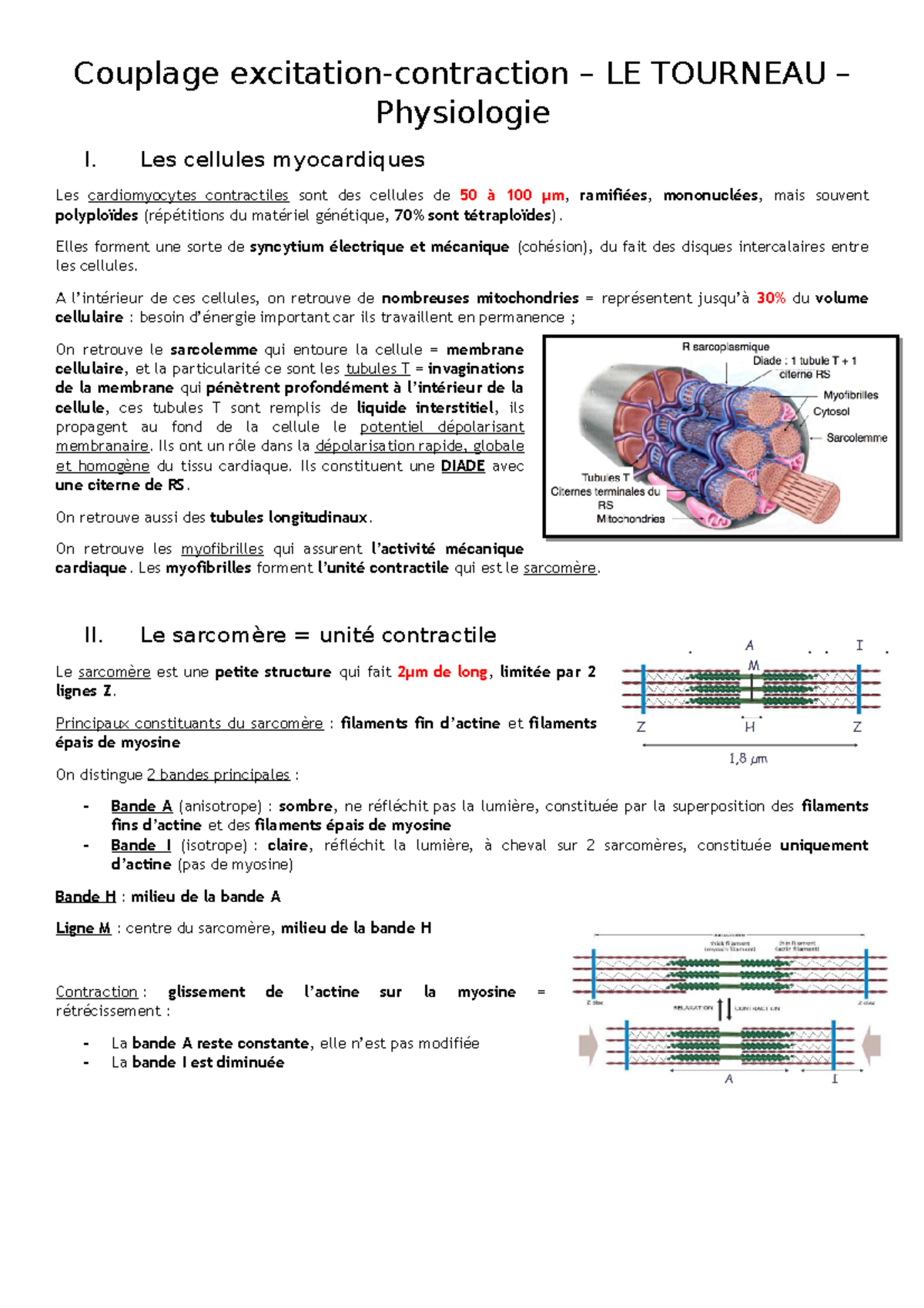 Couplage excitation-contraction 2020 - Les cellules myocardiques Les ...