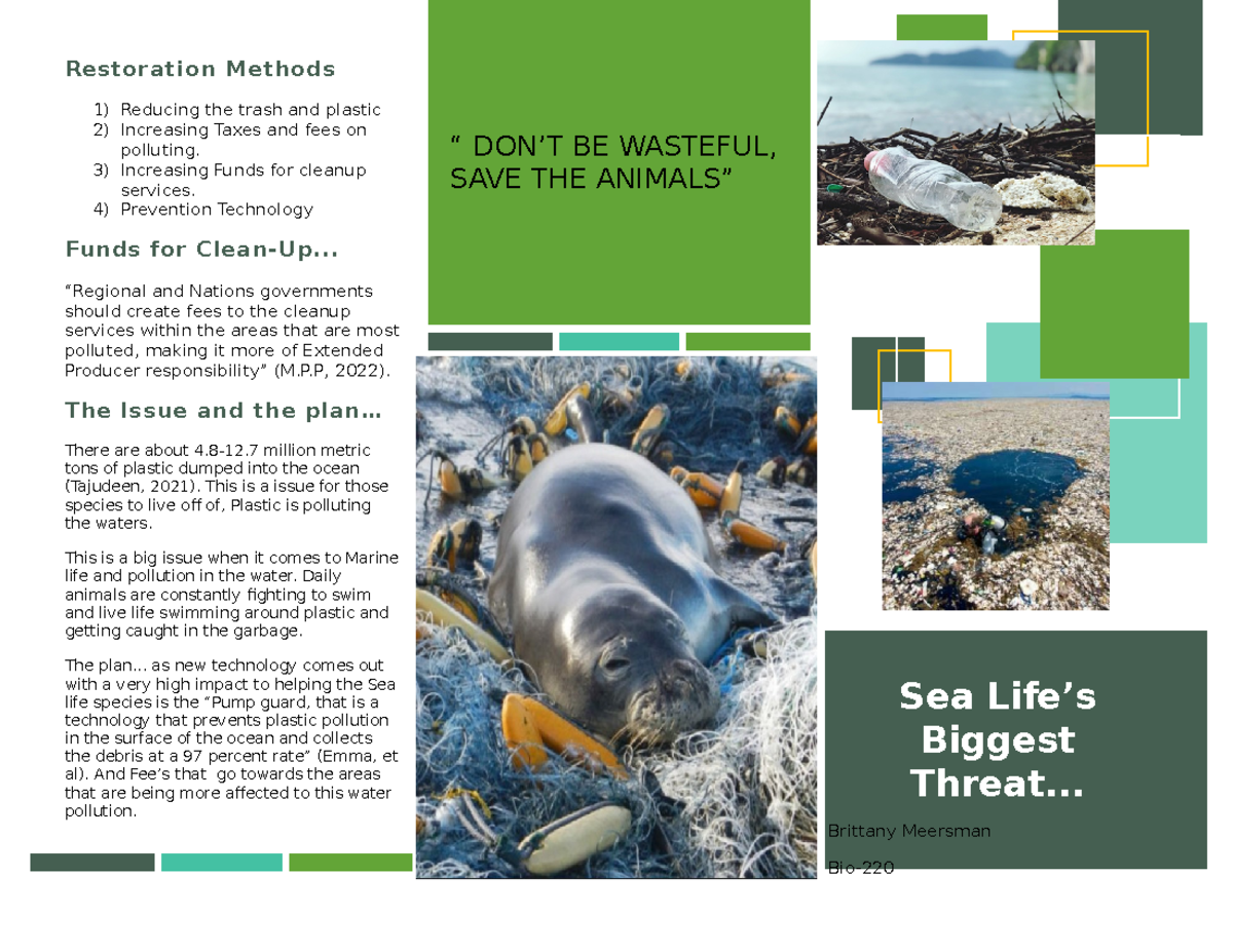 Restoration Pamphlet - Restoration Methods 1) Reducing the trash and ...