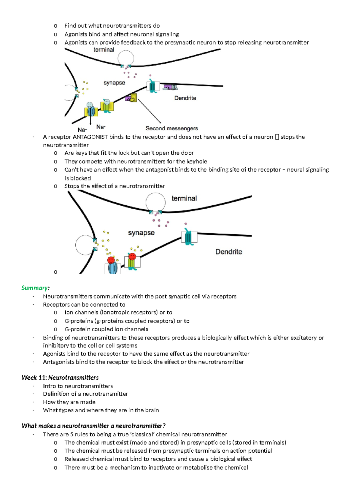 Psychology notes-9 - o Find out what neurotransmitters do o Agonists ...