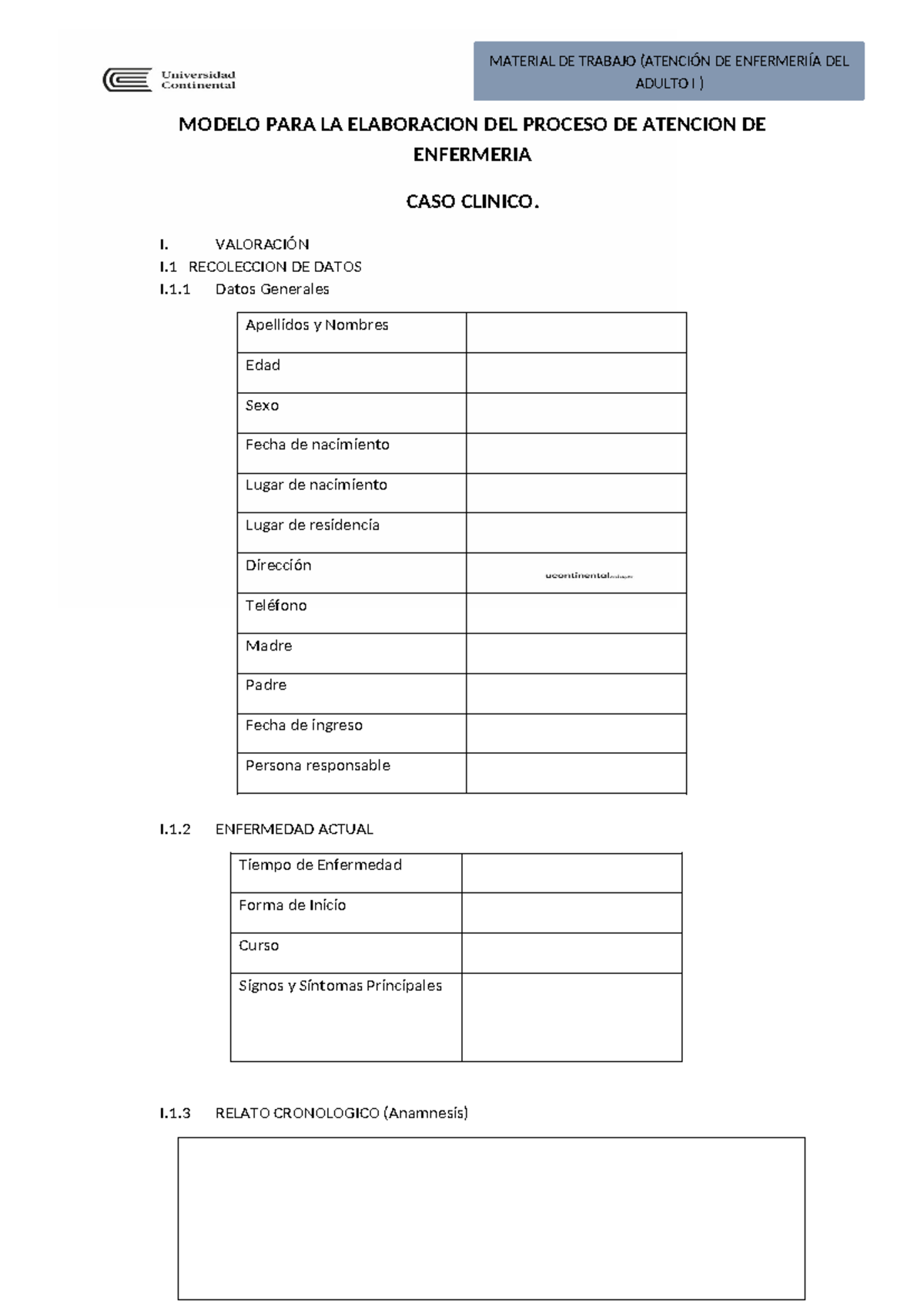 Formato PAE - nada - ADULTO I ) MODELO PARA LA ELABORACION DEL PROCESO ...