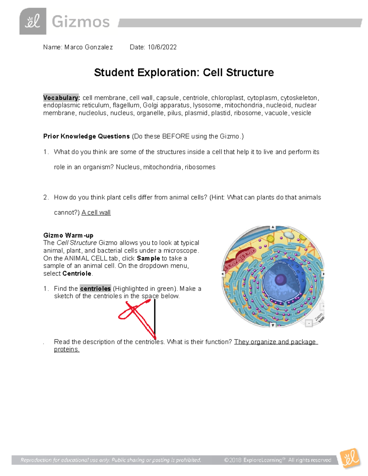 Cell Structure SE - Name: Marco Gonzalez Date: 10/6/ Student ...