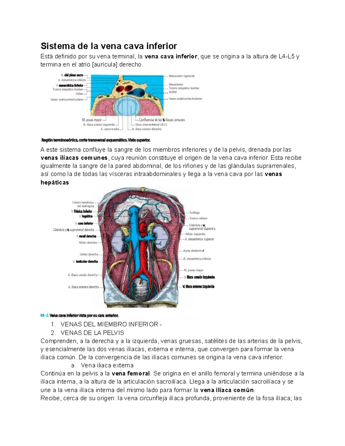 Latarjet Cap. 88 y Cap. 89 - Sistema de la vena cava inferior - Sistema ...