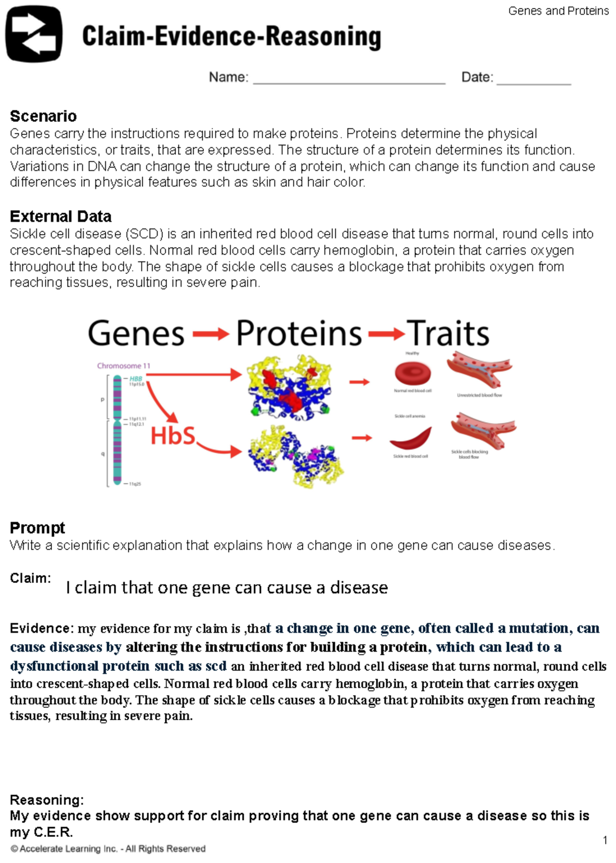 Copy of 8.1.12 CER Genesand Proteins Evaluate Student Handout - Genes ...