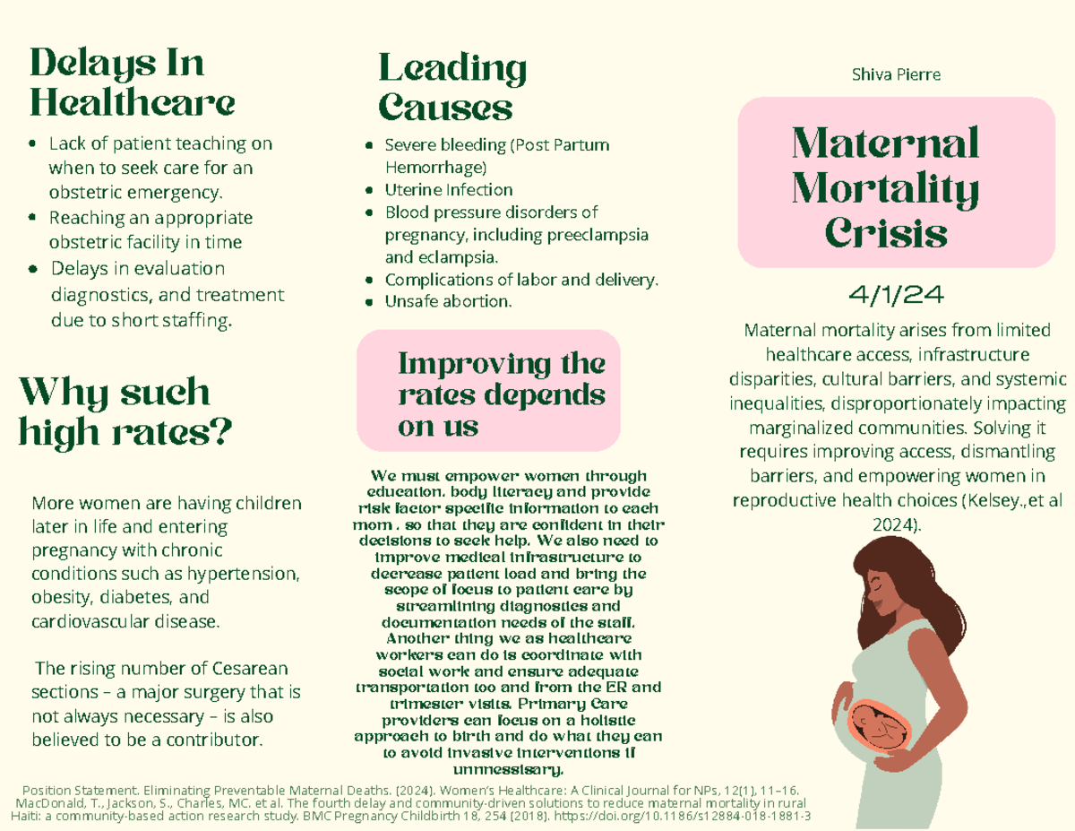Maternal mortality - current issues assignment - More women are having ...