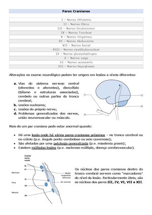 Marcha, Força, Reflexos e Sensibilidade - Marcha É sempre necessário ...