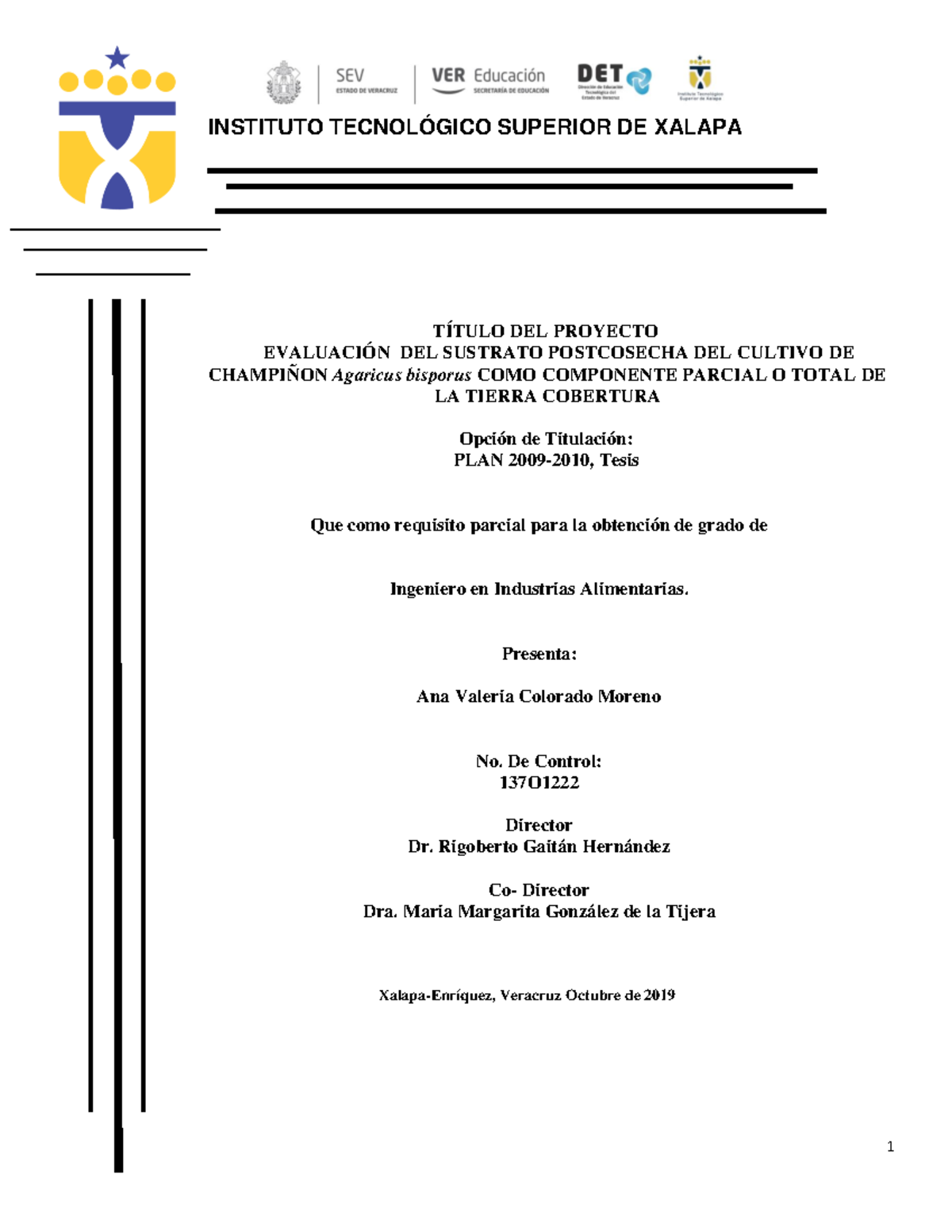 Tesis- Impresion- Valeria - INSTITUTO TECNOLÓGICO SUPERIOR DE XALAPA ...