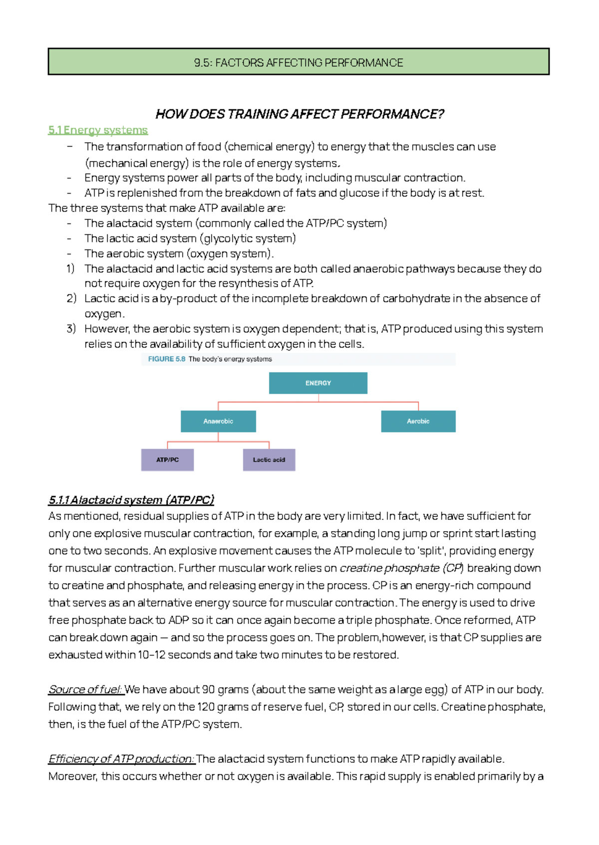 Factors Affecting Performance - HOW DOES TRAINING AFFECT PERFORMANCE? 5 ...