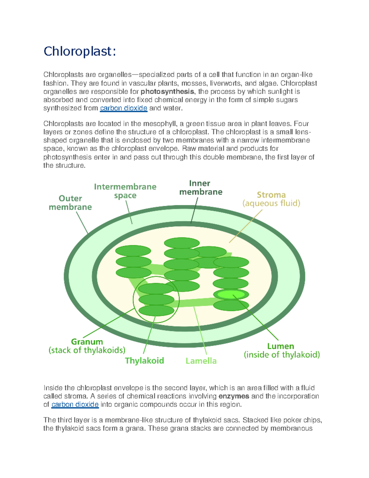 Chloroplast - Lecture notes 5 - Chloroplast: Chloroplasts are ...