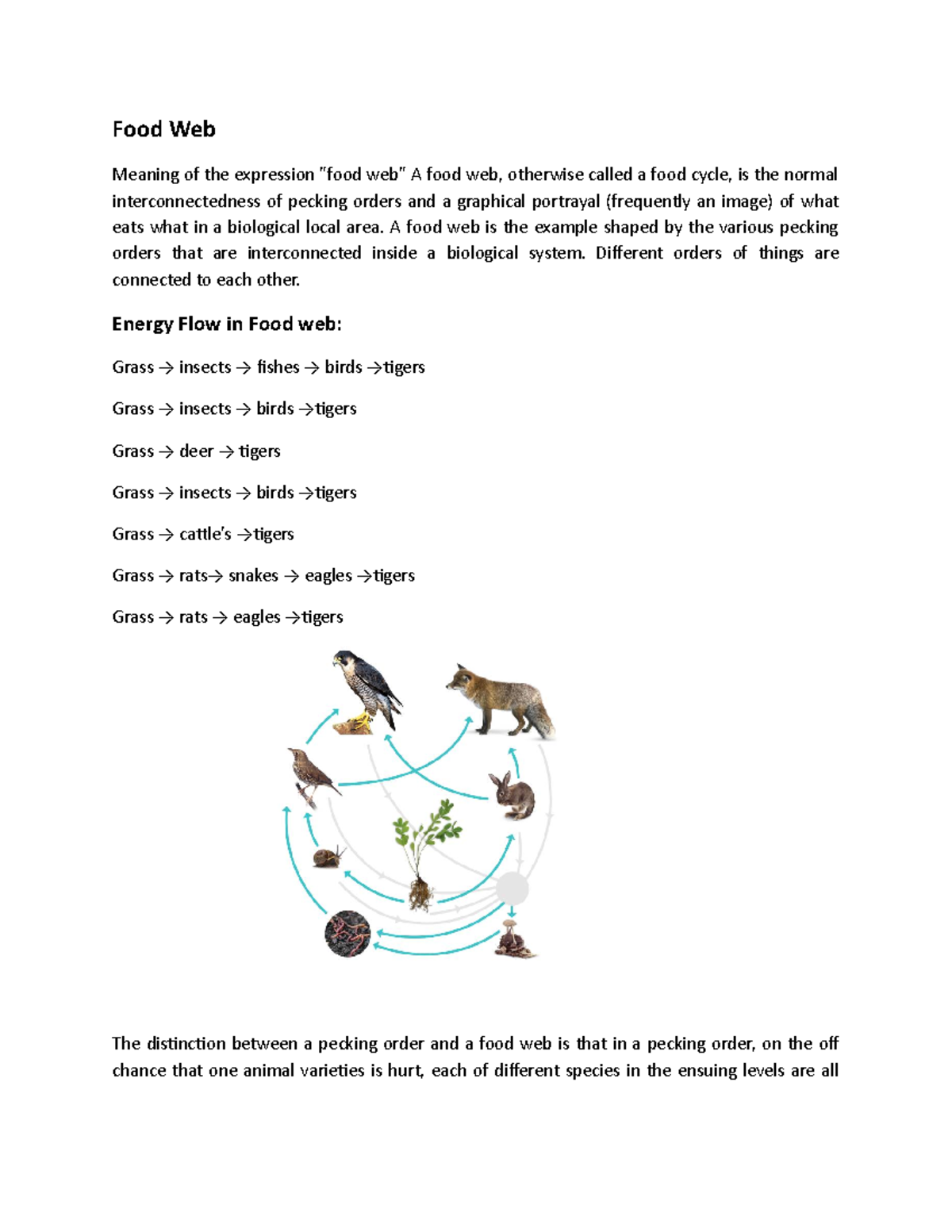 The Food Web - Sustainable - Food Web Meaning of the expression "food ...