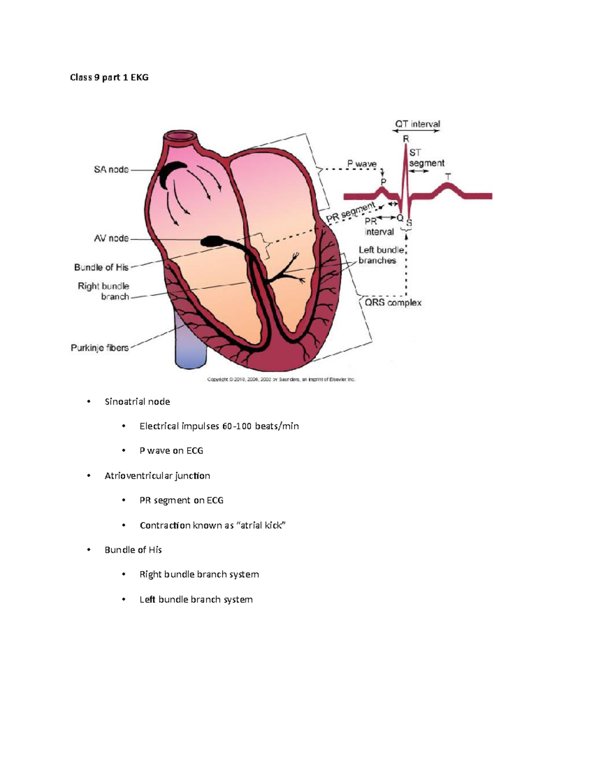 Class 9 part 1 EKG - Summaries - Class 9 part 1 EKG Sinoatrial node ...