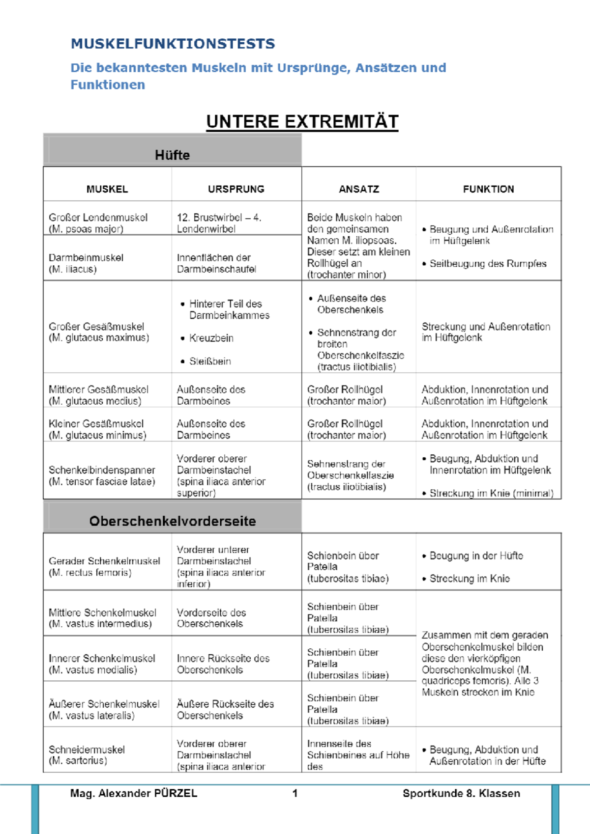 Muskel Ursprung Ansatz Funktion - Sportmedizin - TUM - Studocu