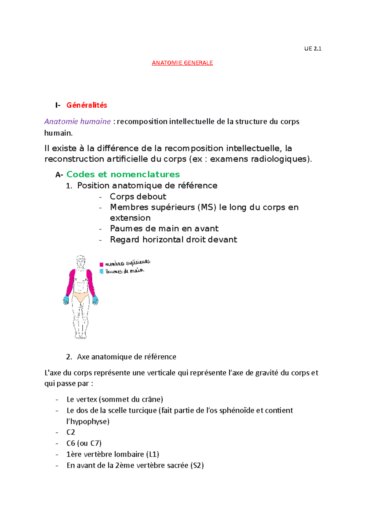 Anatomie générale - UE 2. ANATOMIE GENERALE I- Généralités Anatomie ...