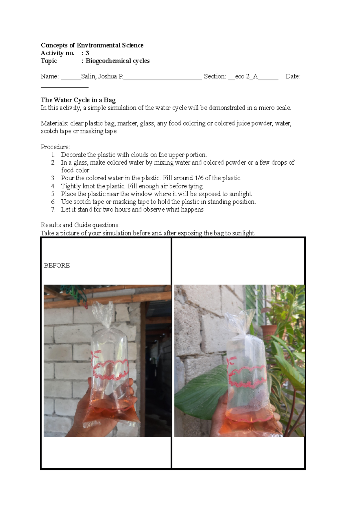 %5b Template%5d%20Activity%203%20Biogeochemical - Concepts of ...