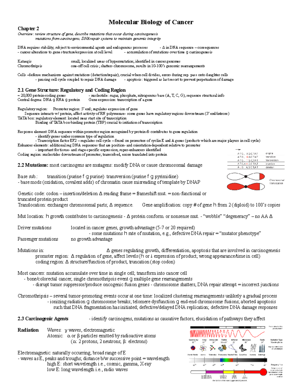 Cancer Biology Pecorino Notes: Chapter 2 - Molecular Biology of Cancer ...