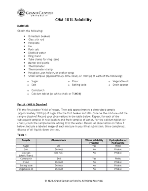 Lab Safety Essay - Lauren Garcia Antunez Professor Riedeman Chem-101 ...