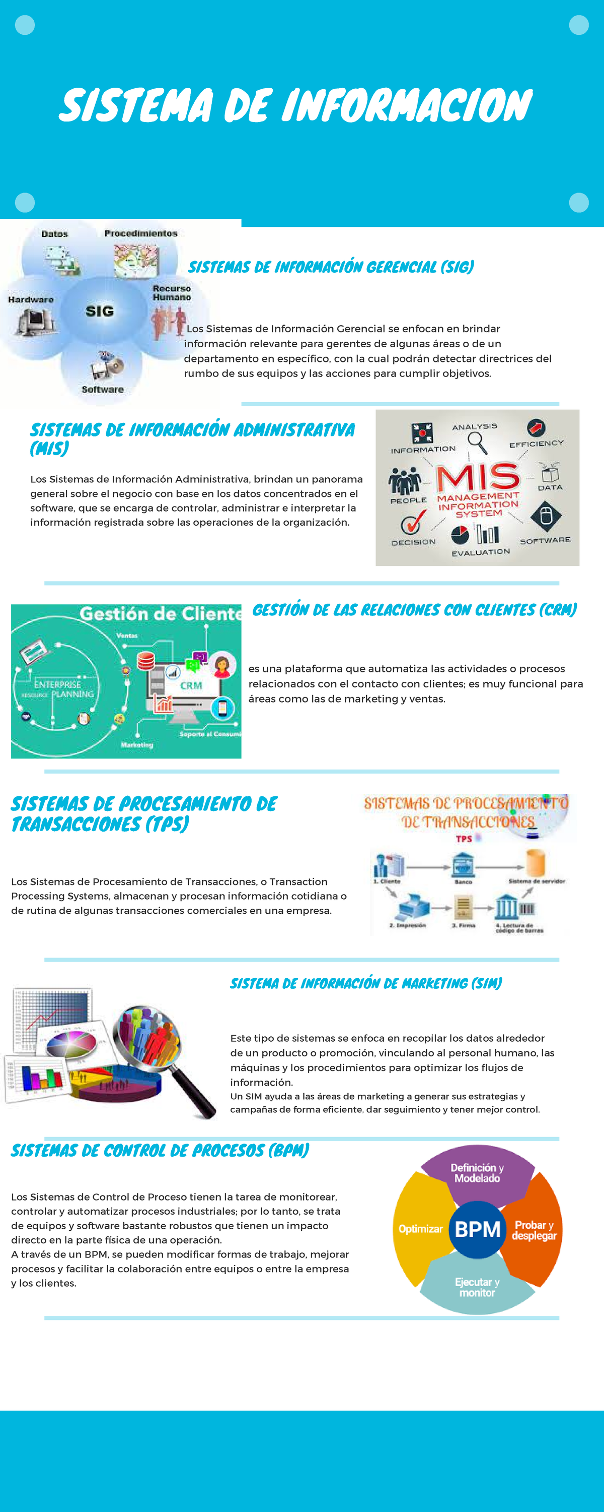 Infografia De Sistemas De Informacion