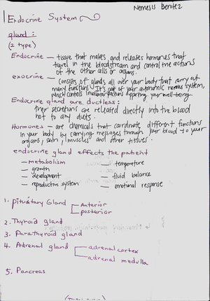 ATI B newborn assessment - ACTIVE LEARNING TEMPLATES THERAPEUTIC ...