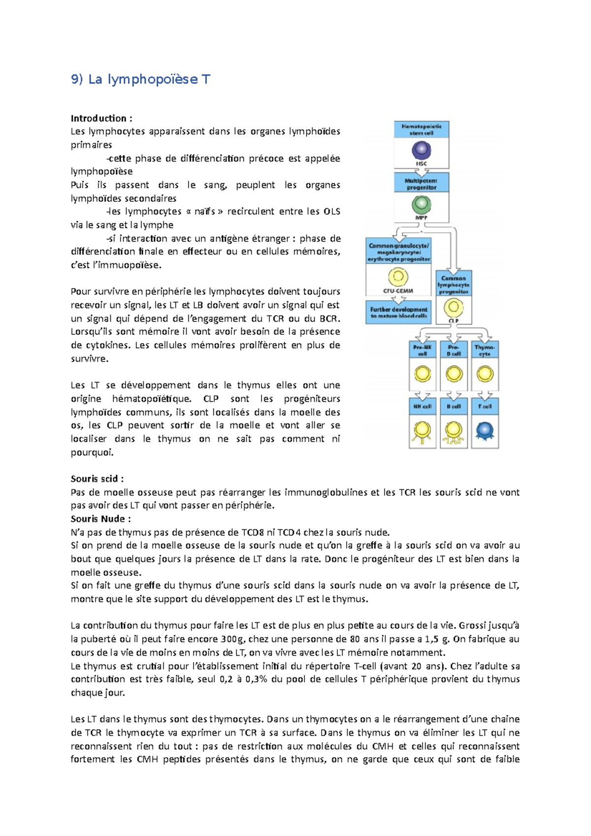 9 lymphopoïèse T - 9) La lymphopoïèse T Introduction : Les lymphocytes ...