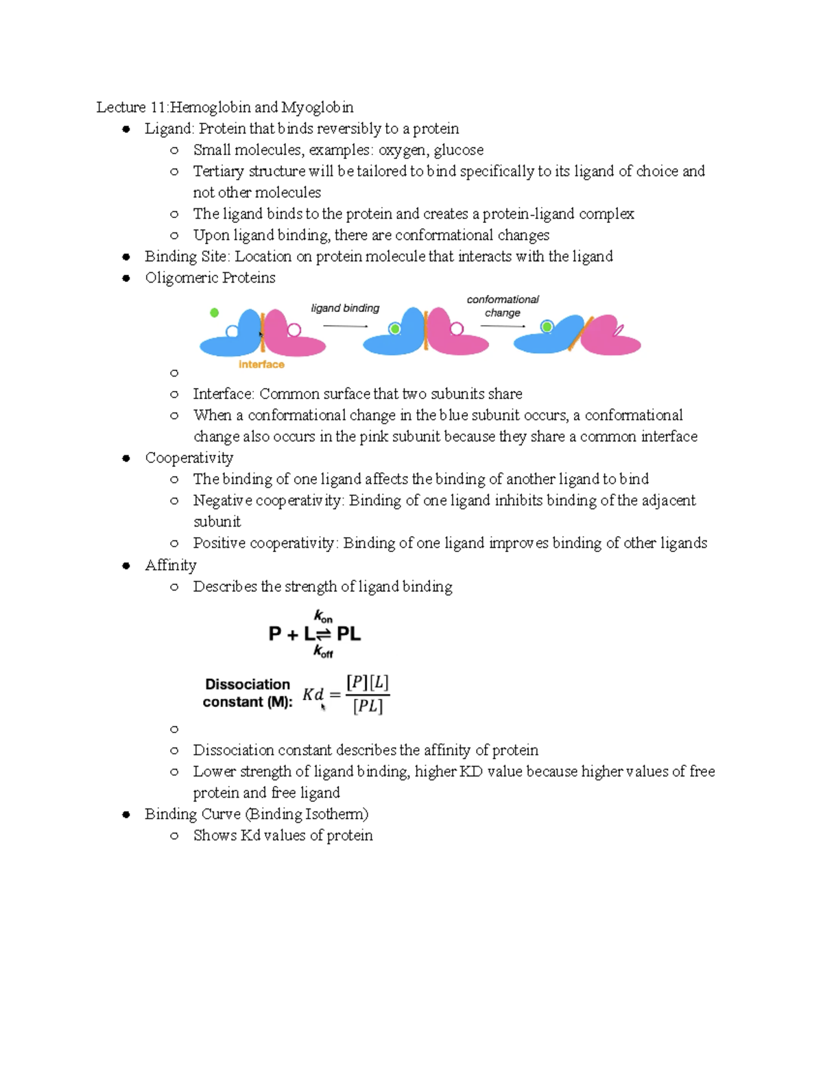 Biochemistry Exam 2 - Exam 2 Lecture Notes - Lecture 11:Hemoglobin and ...