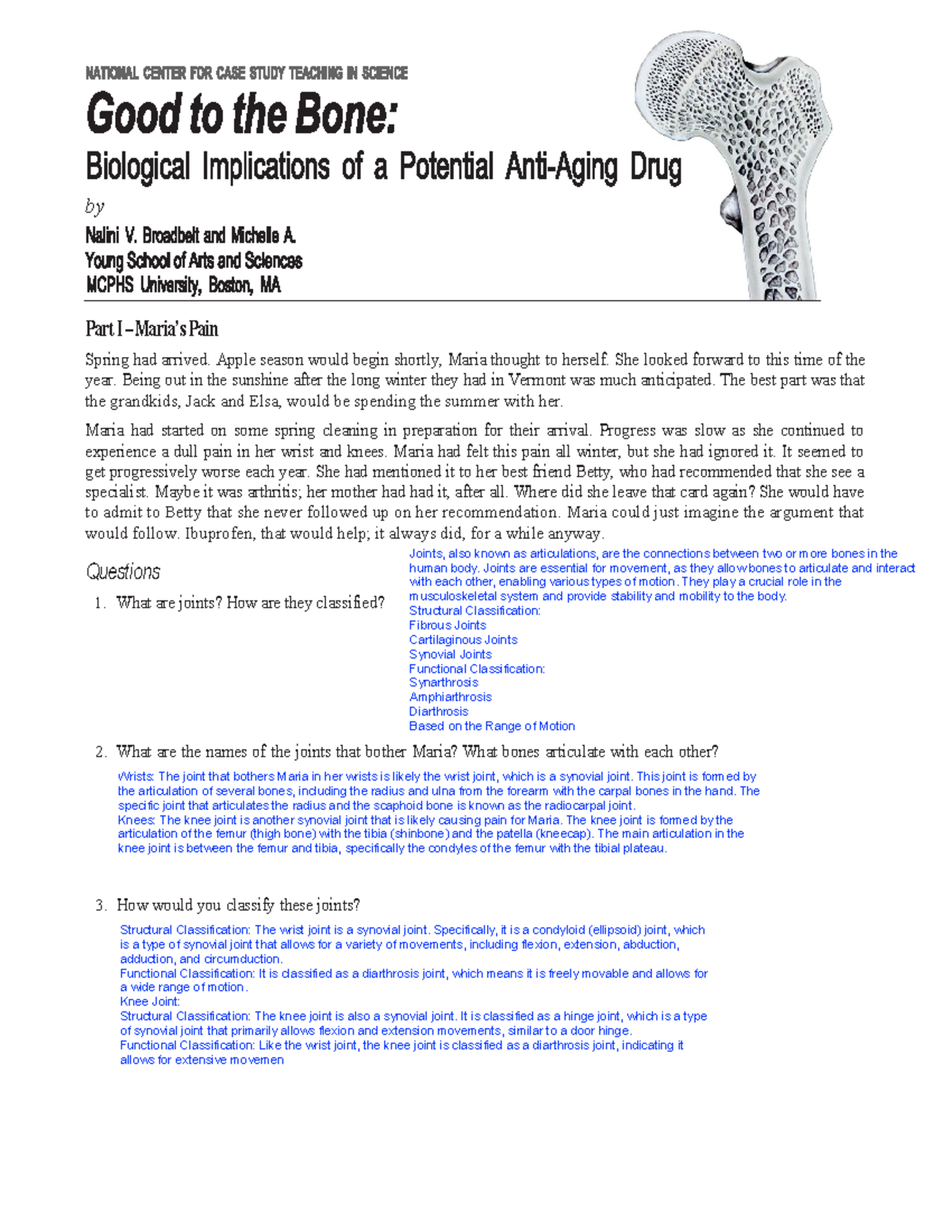 Joints Case Study - Part I – Maria’s Pain Spring had arrived. Apple ...