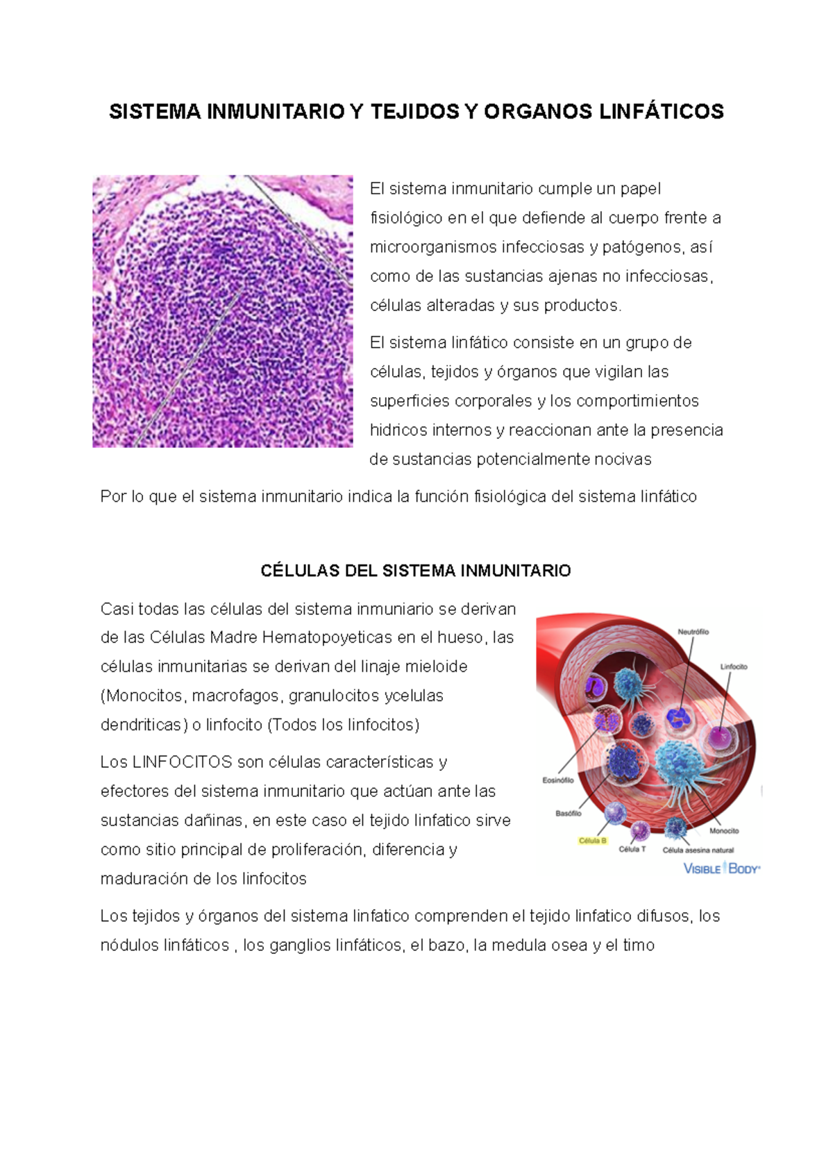 Tejido LinfáTICO - SISTEMA INMUNITARIO Y TEJIDOS Y ORGANOS LINFÁTICOS El sistema inmunitario ...