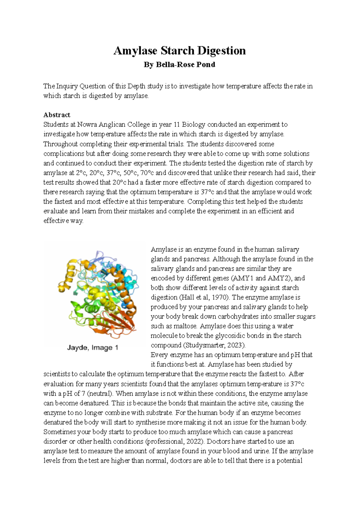 Amlayse Depth Study - Amylase Starch Digestion By Bella-Rose Pond The ...