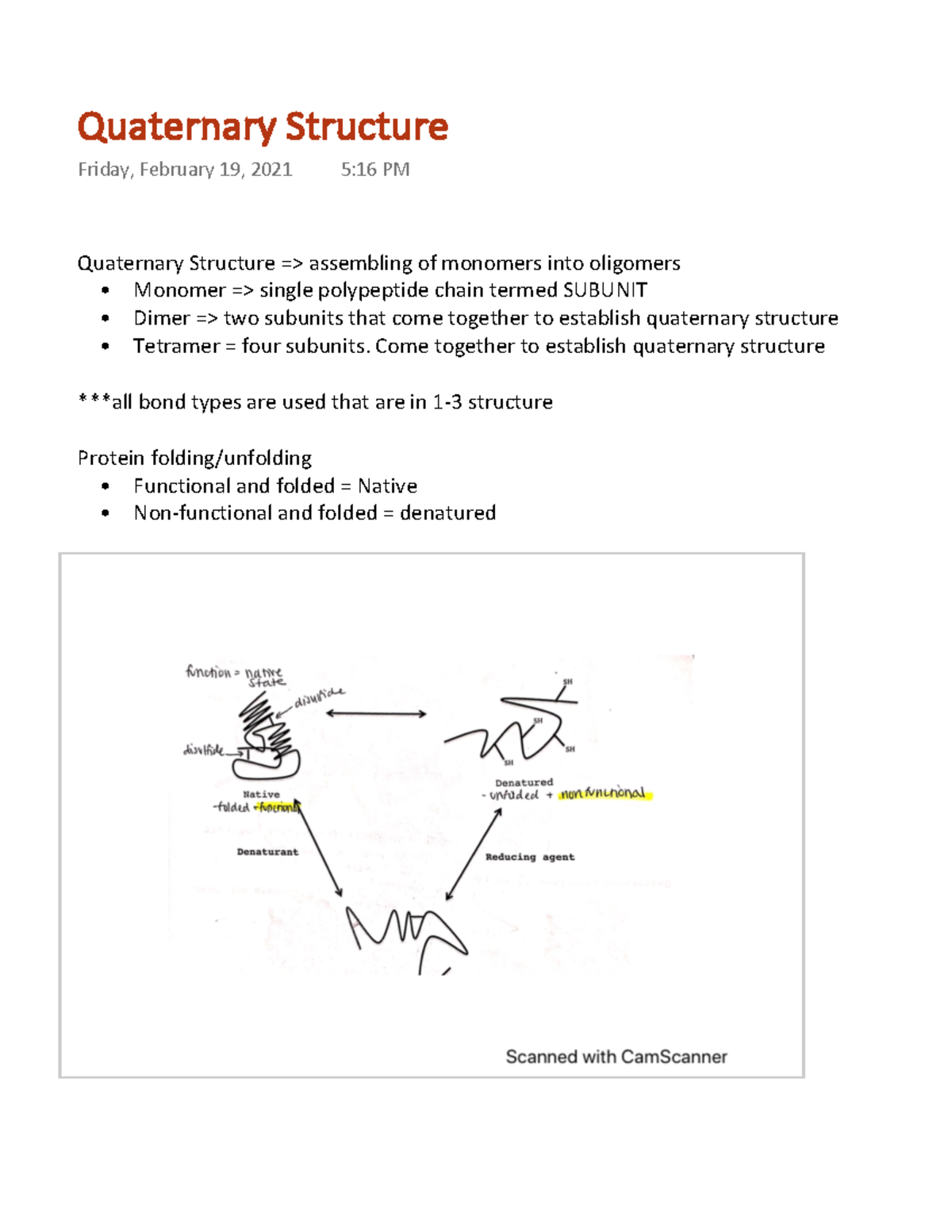 Quaternary Structure - Lecture notes 5 - Quaternary Structure ...