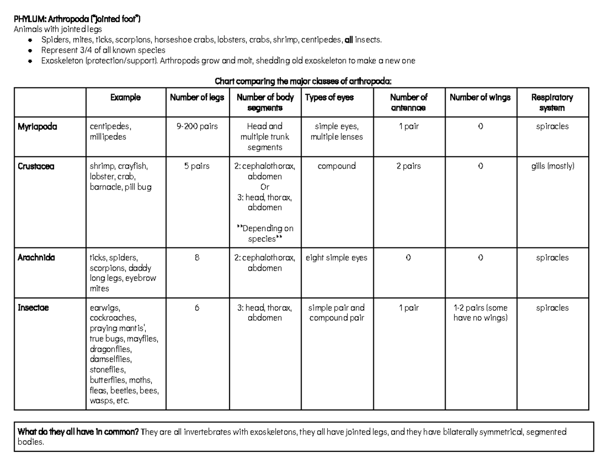 BIO Notes Arthropoda - PHYLUM: Arthropoda (“jointed foot”) Animals with ...
