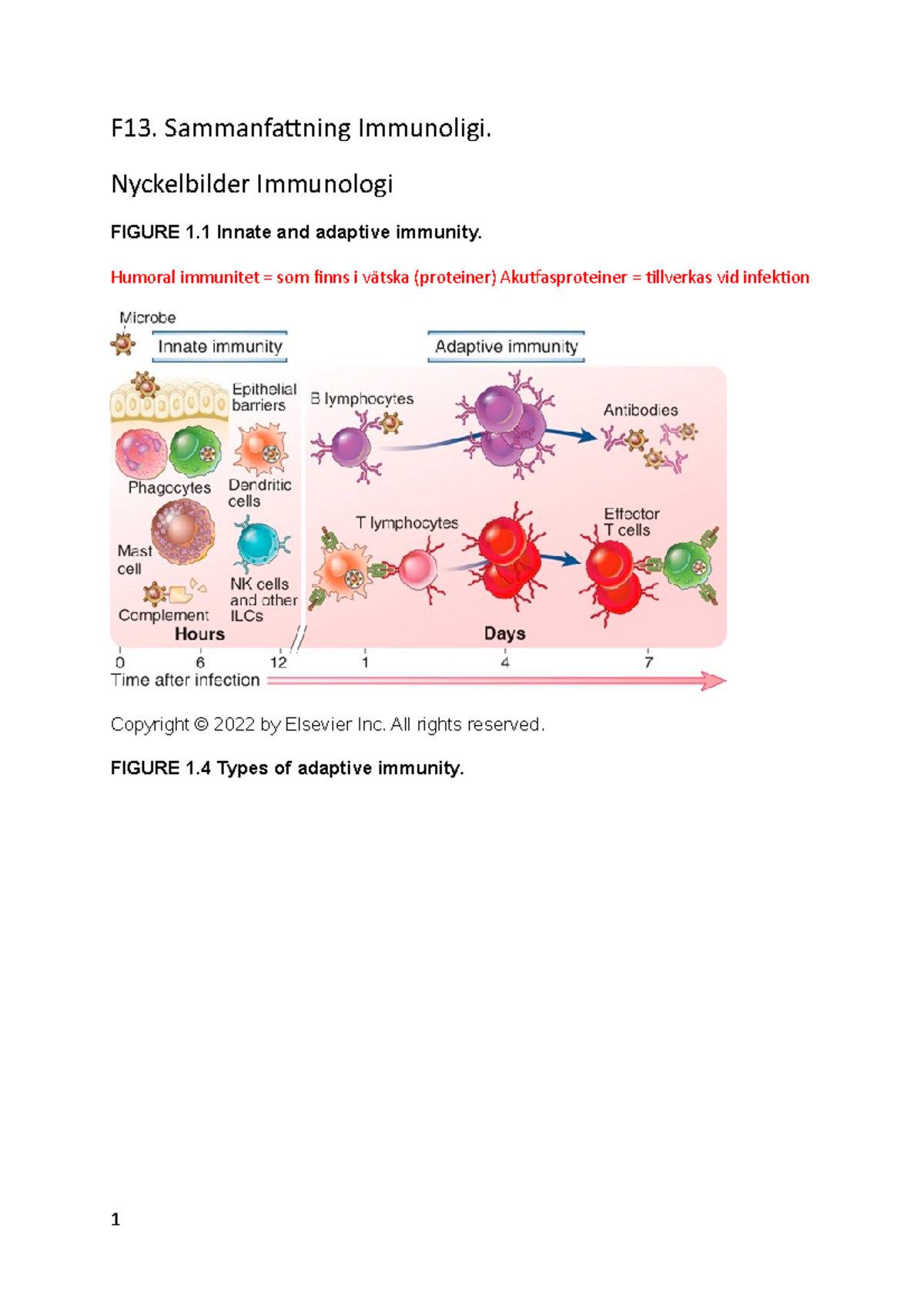 F13.Summering Immunologi - F13. Sammanfattning Immunoligi. Nyckelbilder ...