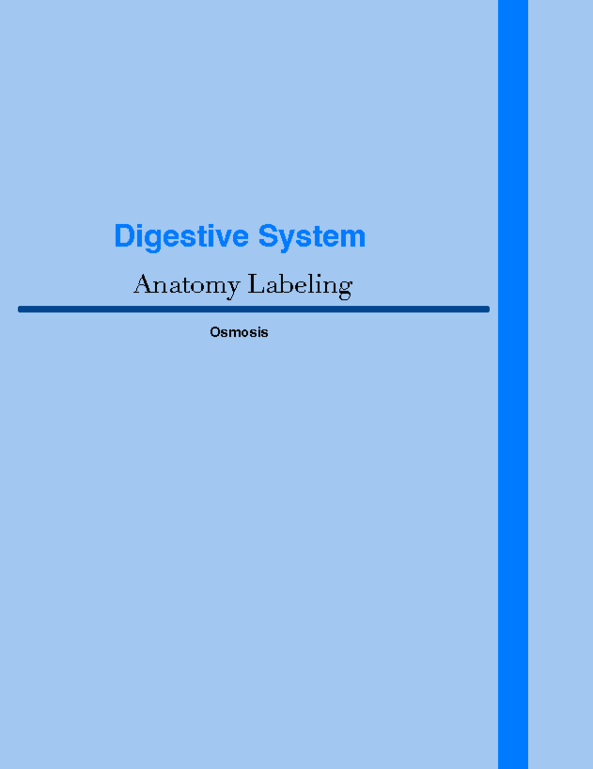 A&P II GI Labeling - labelled anatomy diagrams - AHSL 3422 - Digestive ...
