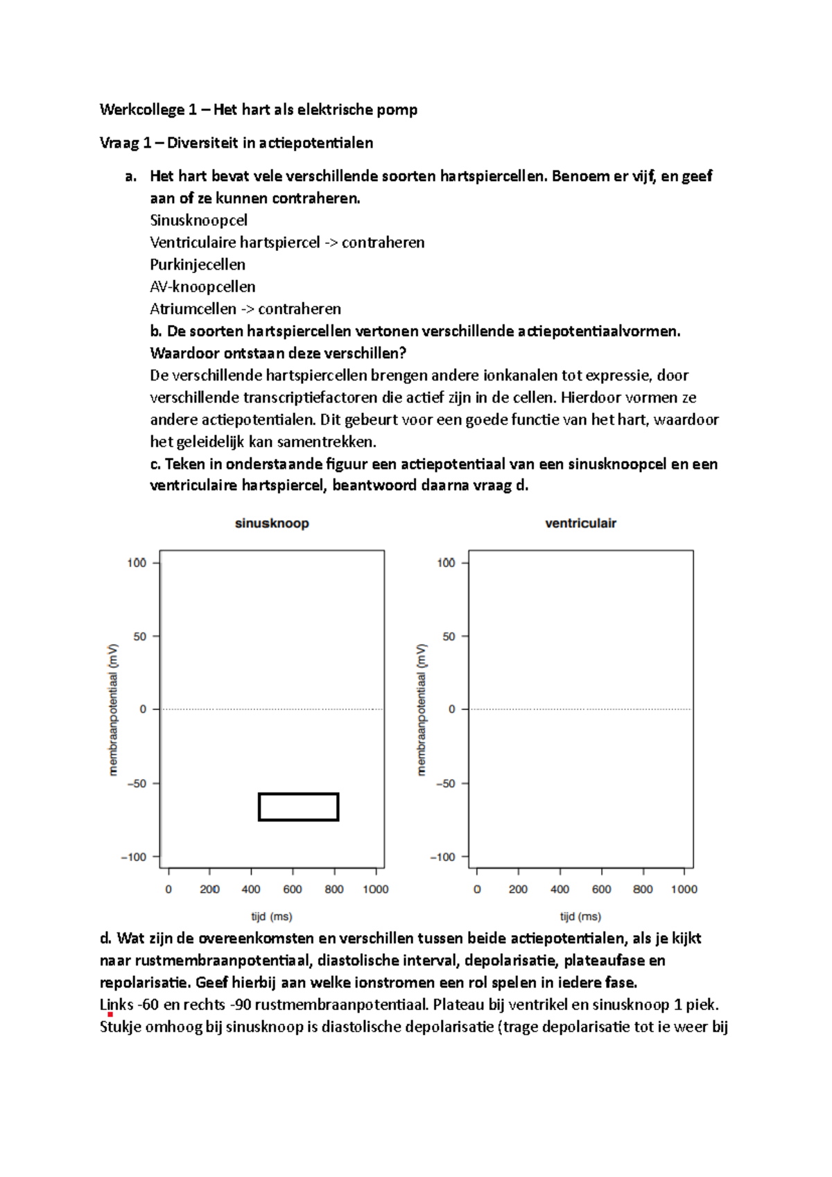Werkcollege 1 - Het hart als elektrische pomp - Werkcollege 1 – Het ...