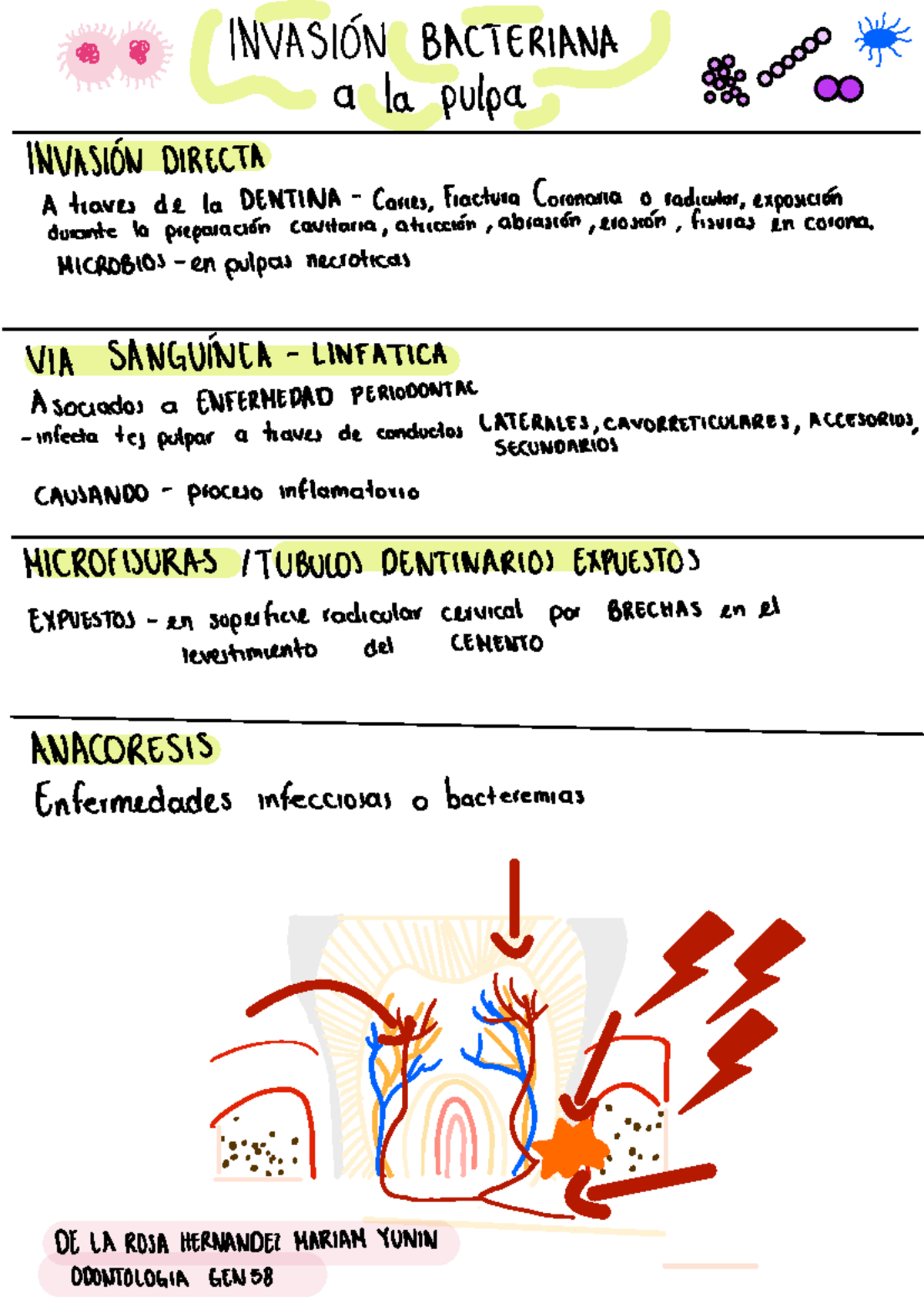 Cuadro Comparativo Microbiologia Endodoncica - INVASION BACTERIANA a la ...