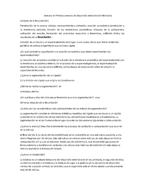 habilidades lectura, escritura y calculo mental - EXPLORACIÓN DE ...