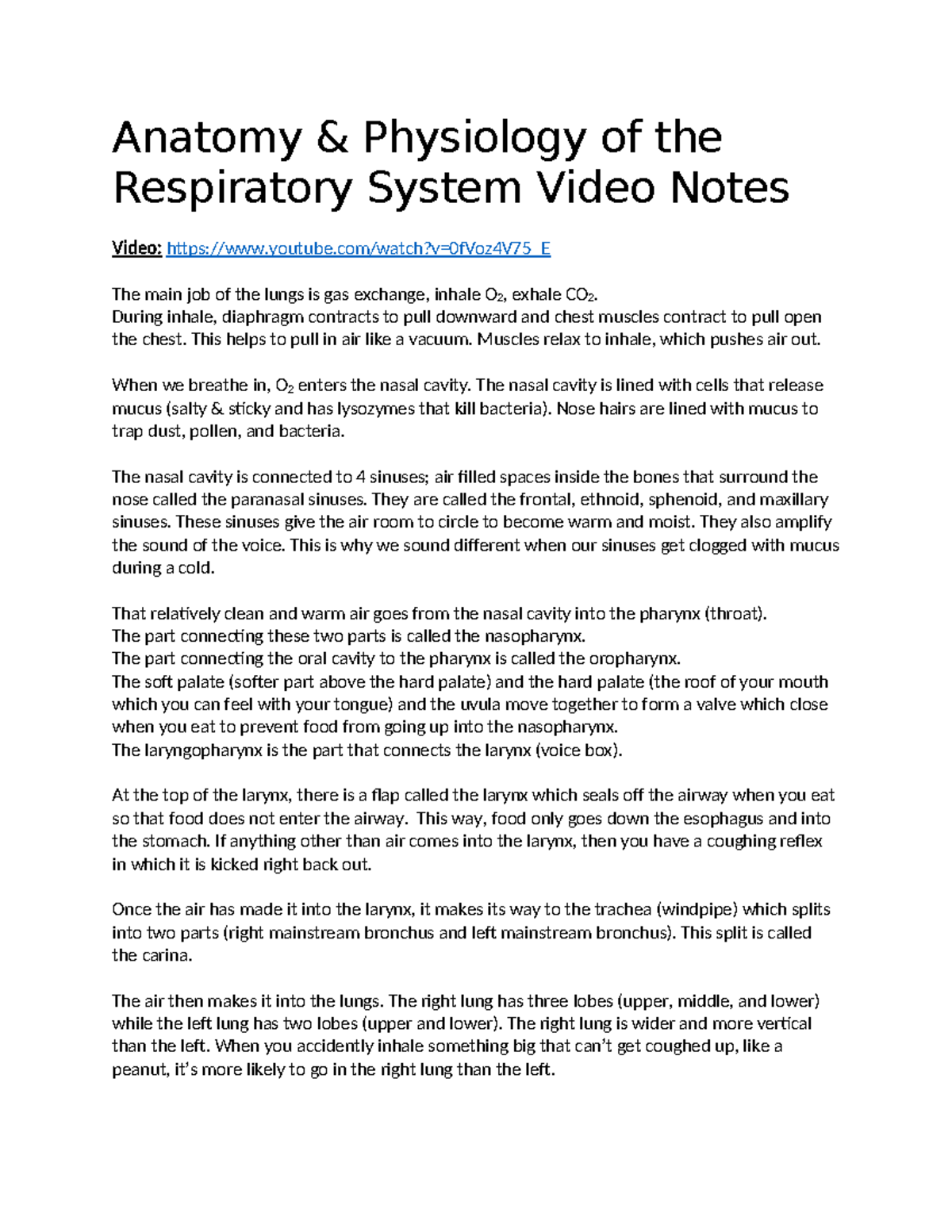 Biology -Anatomy & Physiology of the Respiratory System Video Notes ...