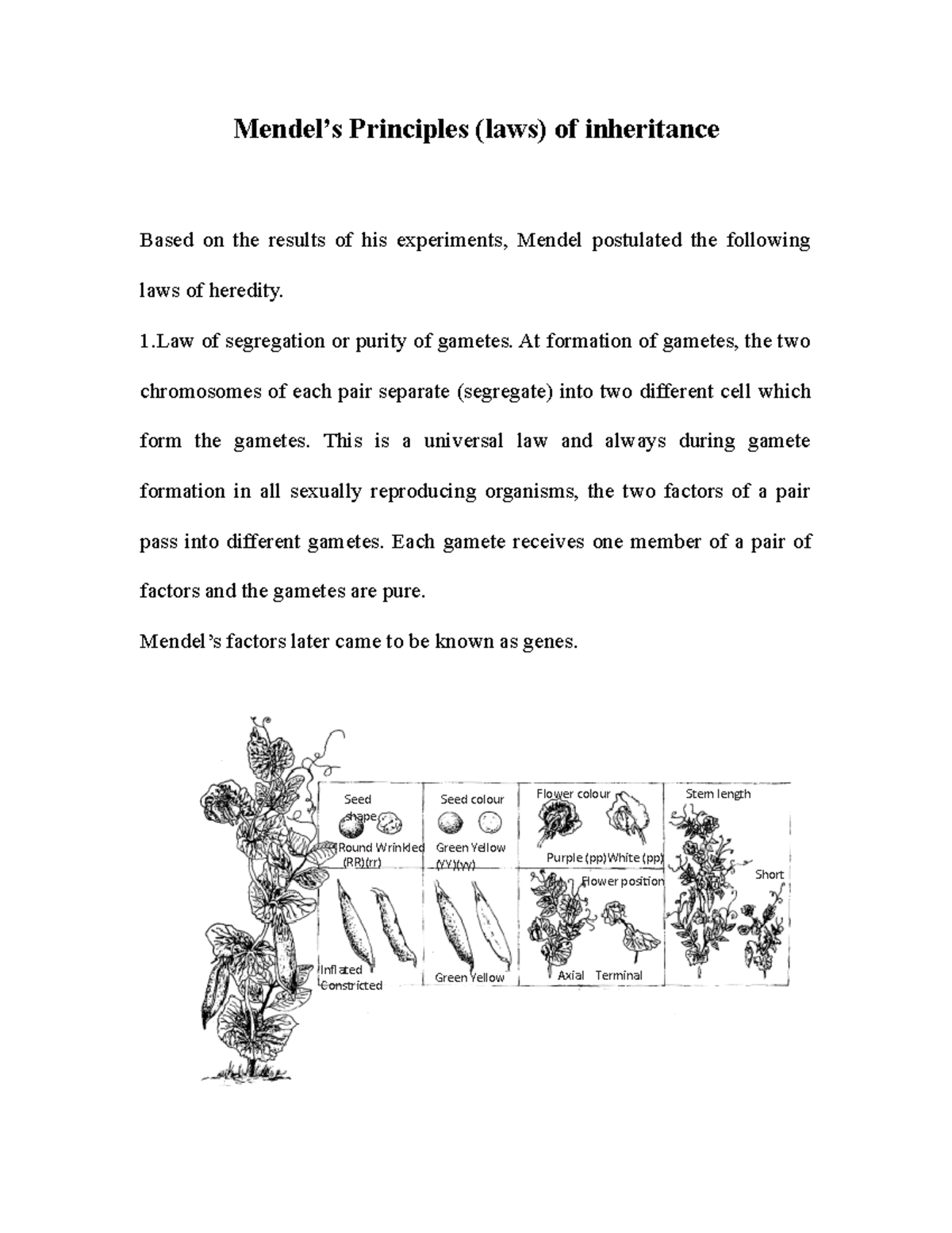 Mendel’s Principles (laws) of inheritance - Seedshape Seed colour ...