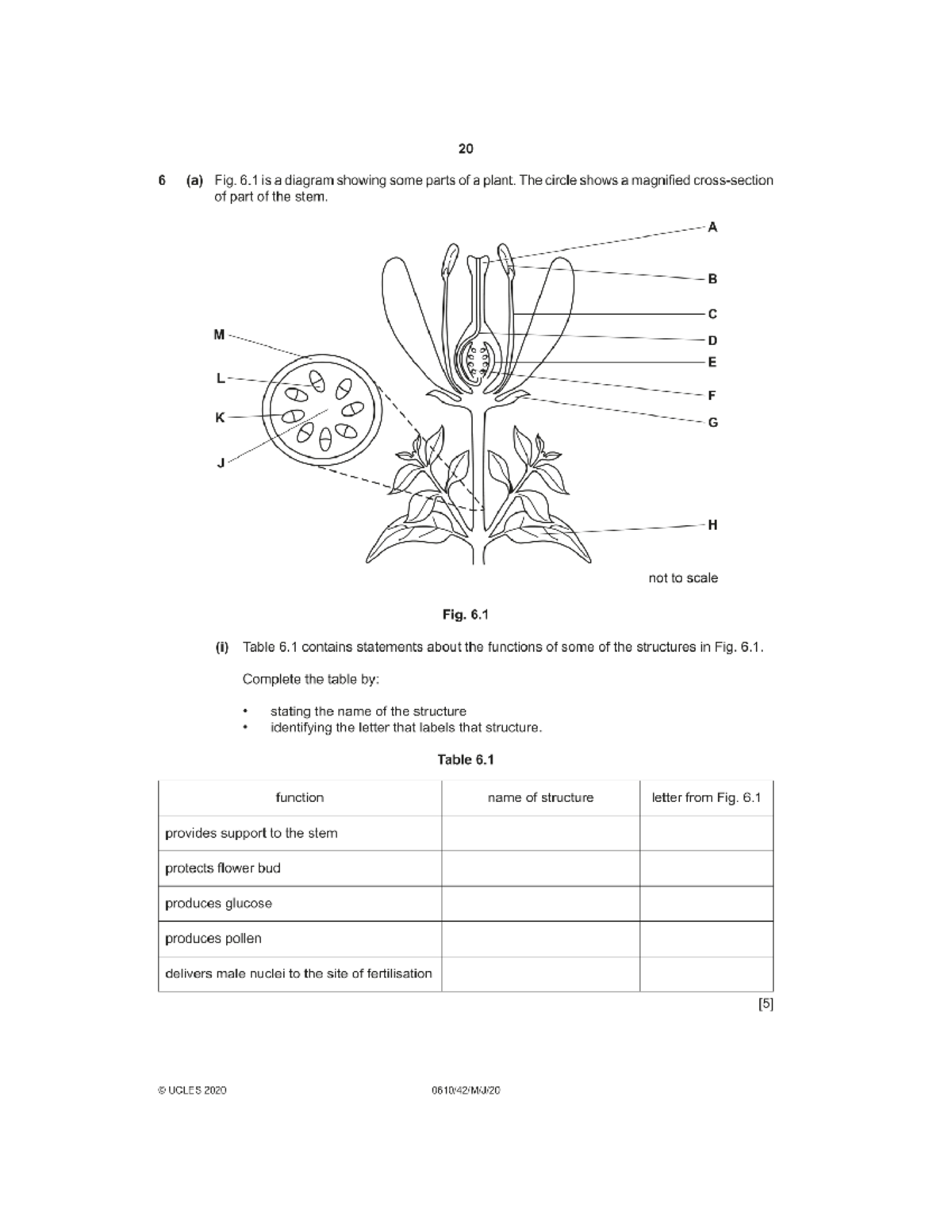 Reproduction in plants - BIO-200 - Studocu