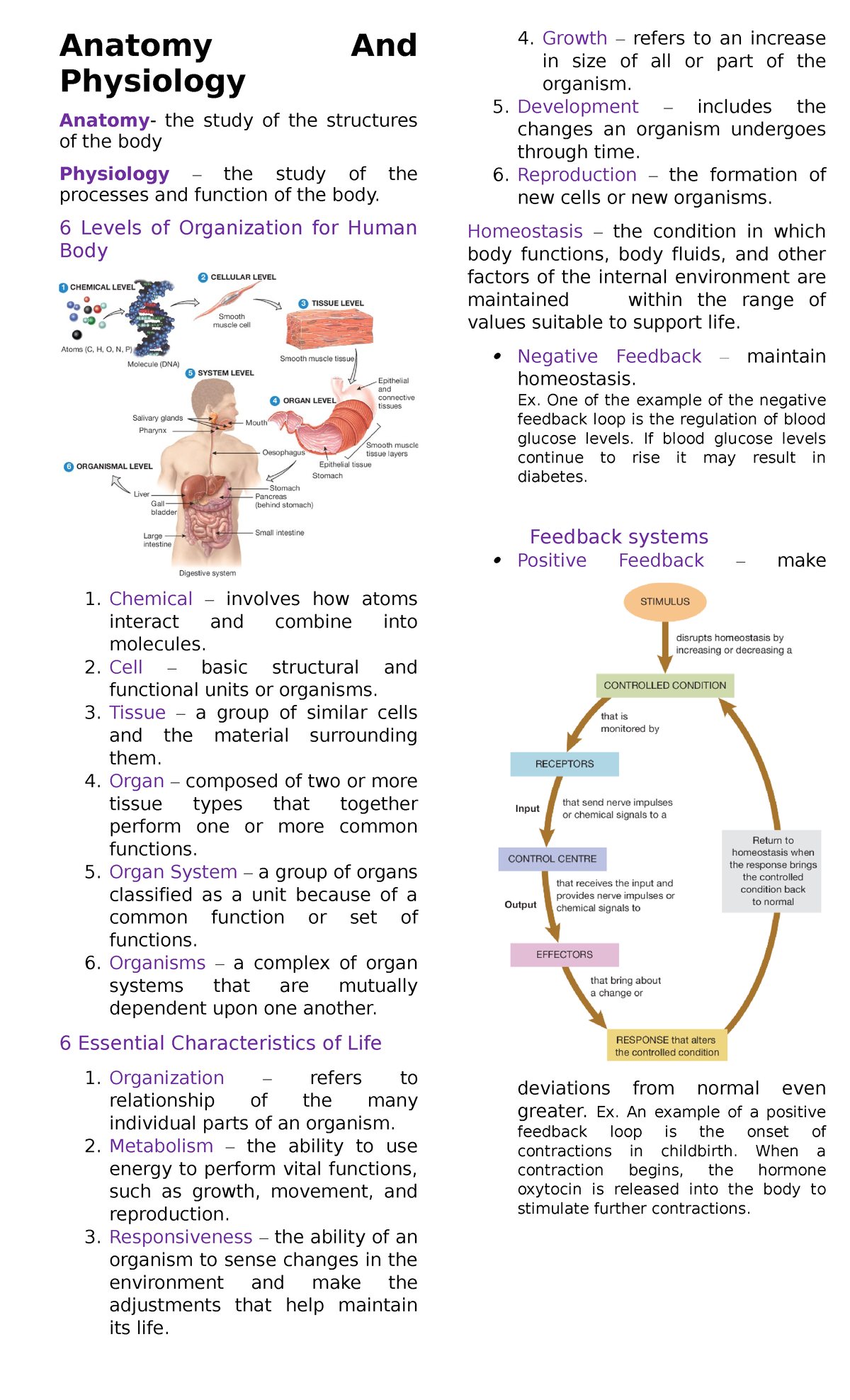 Reviewer - ... - Anatomy And Physiology Anatomy- the study of the ...